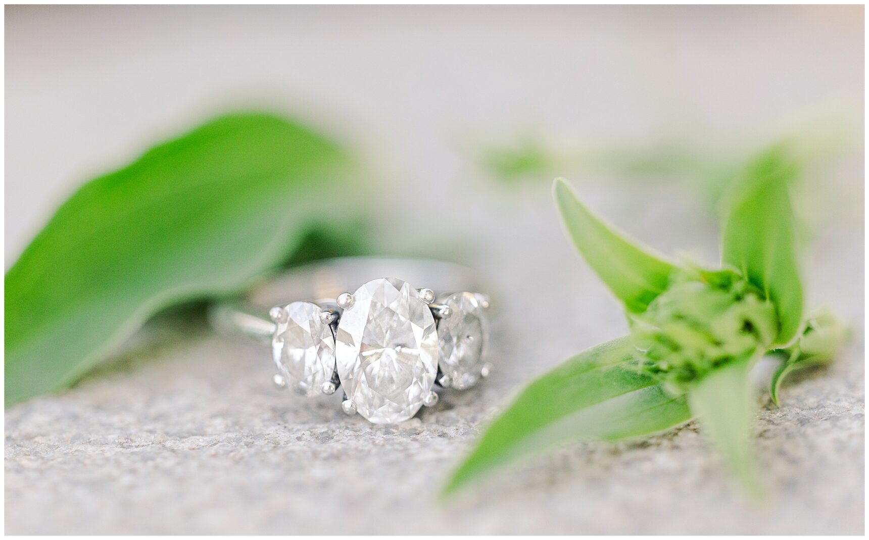 5 Keys to a Successful Engagement Session | VA Photographer